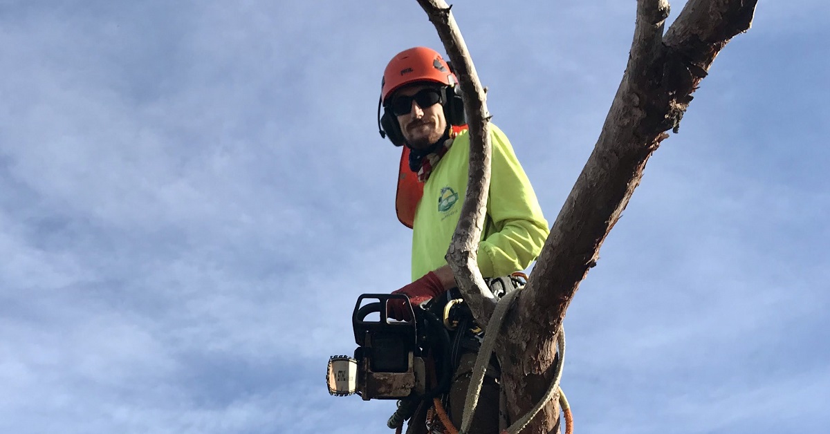 Arborist