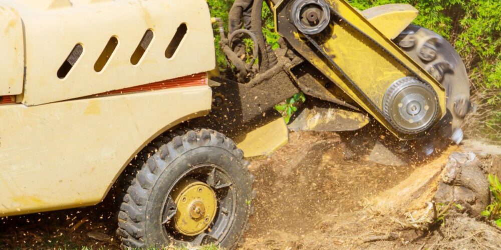 Benefits of Stump Grinding | PV Trimmers